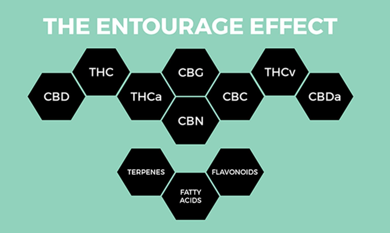 Entourage-Effect-2 – Self-Heal School
